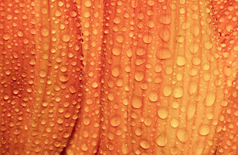 Carter Newell's new Innovate RAP - Carter Newell