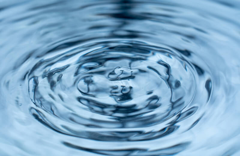 Trial Judge’s findings on nuisance up in flames - Carter Newell