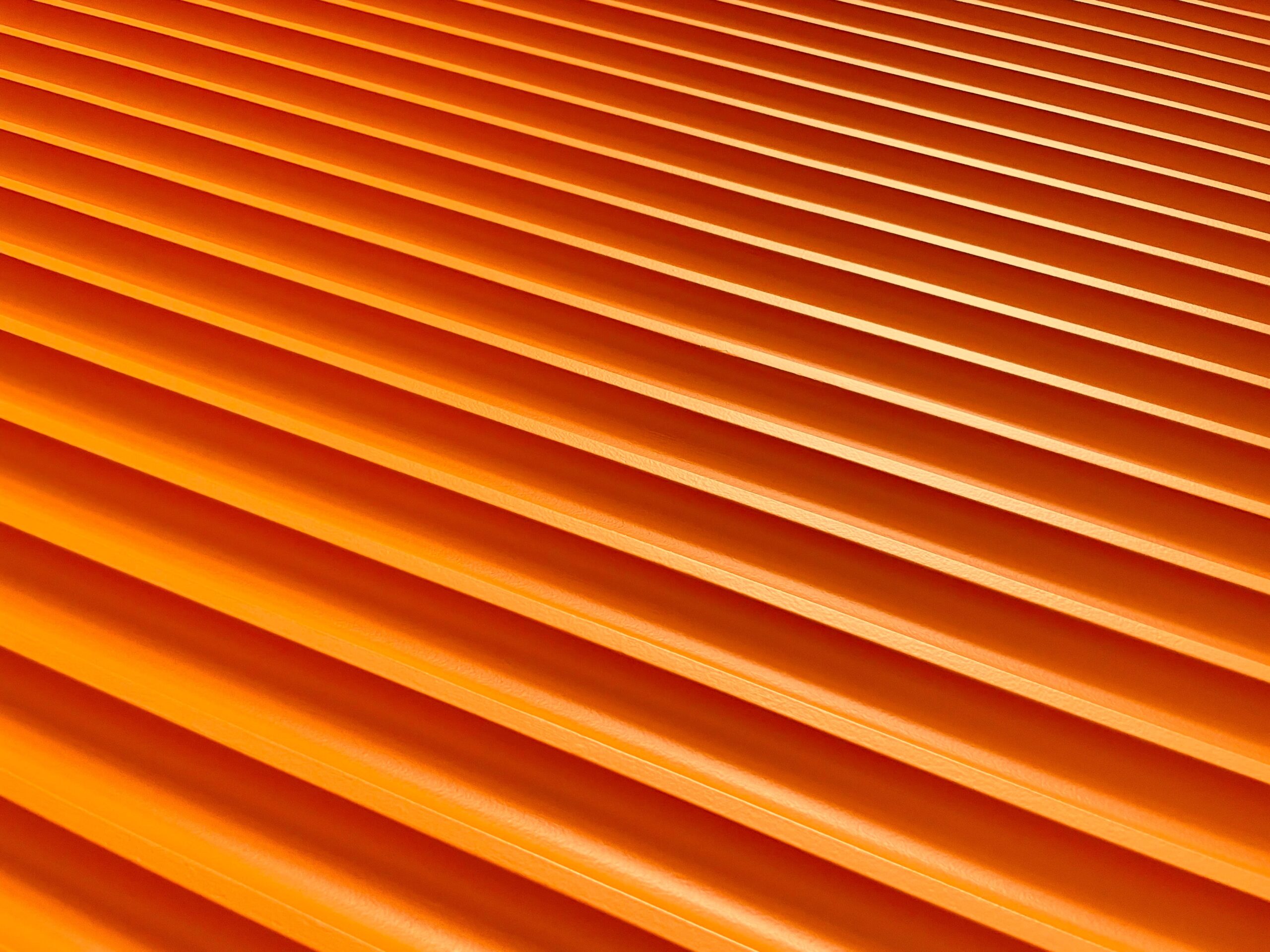 Carter Newell elevates four talented lawyers - Carter Newell